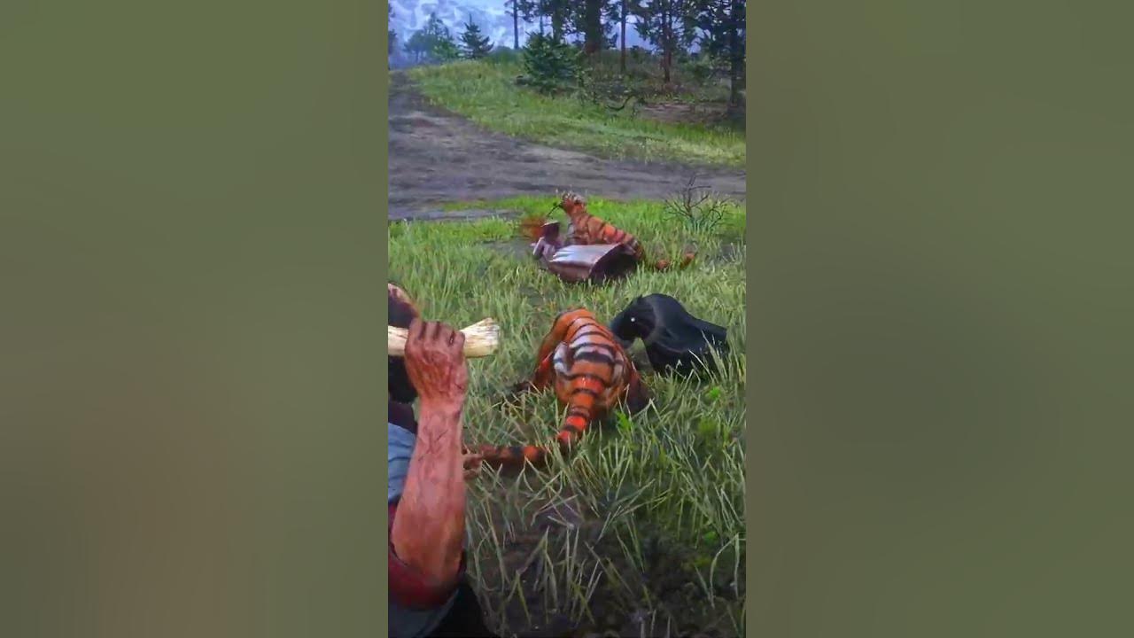 Nấu những món ăn rừng núi hoang dã p869 - YouTube