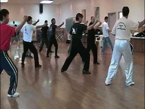 Zhu Tiancai Chen Tai Chi Fajin Power Release 1 - YouTube