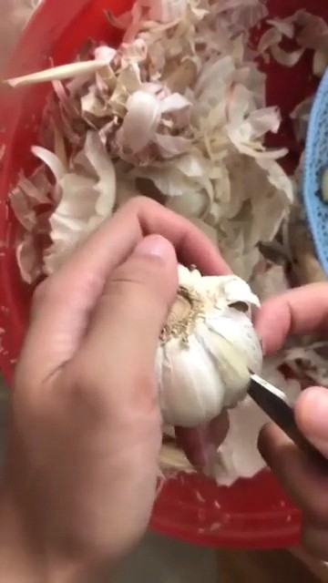 Most easiest way to peel Garlic | Kitchen Hack | Garlic peel of trick ...