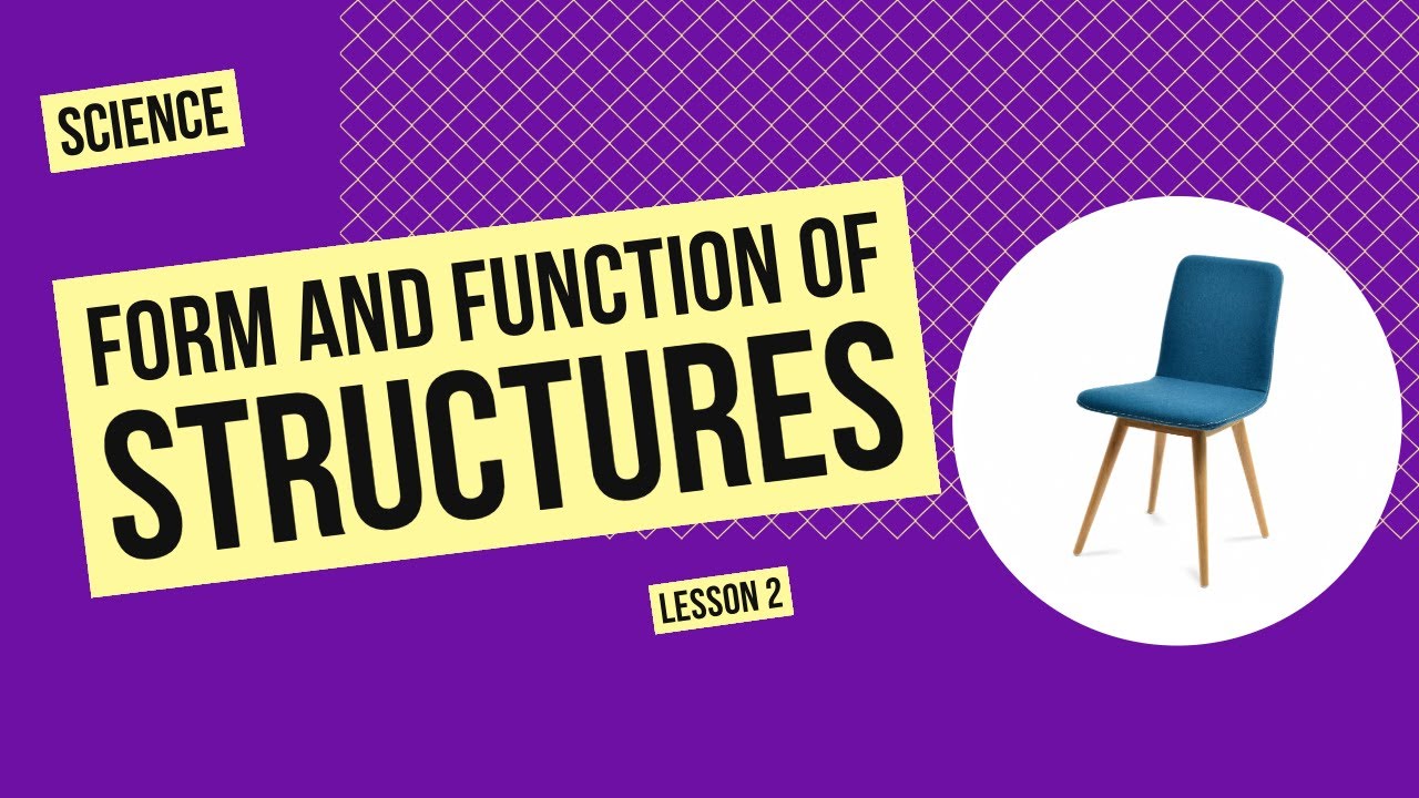 Form and Function of Structures | Science Lesson - YouTube