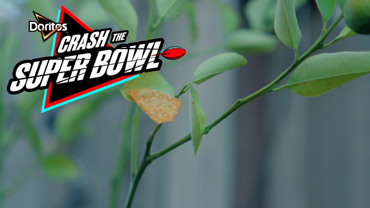 Would You Grow a Dorito Tree?! SUPER BOWL COMMERCIAL 2025 -SPEC AD- # ...