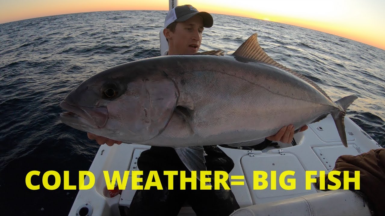 Vertical jigging for Amberjack- Orange Beach, AL - YouTube