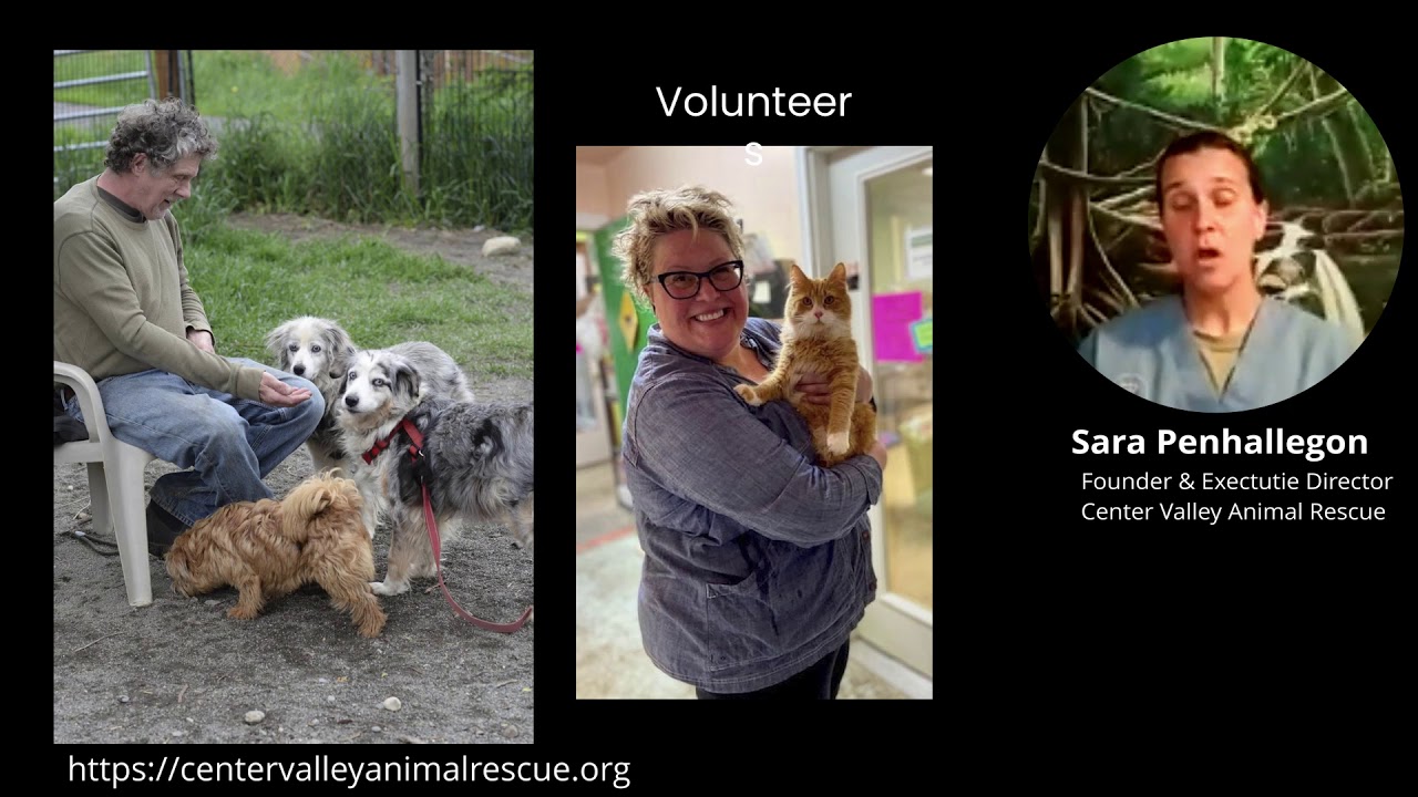 Center Valley Animal Rescue - Who we are and What we do - YouTube