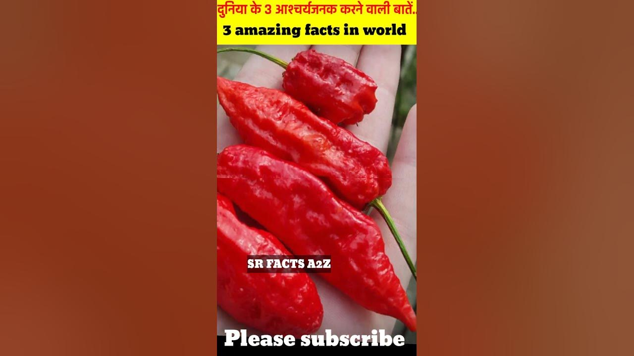 3 3 Amazing Facts In The World 3-3-amazing-facts-in-the-world