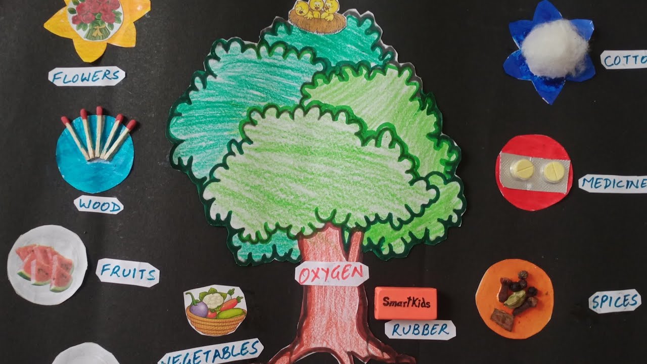 Things we get from trees - YouTube