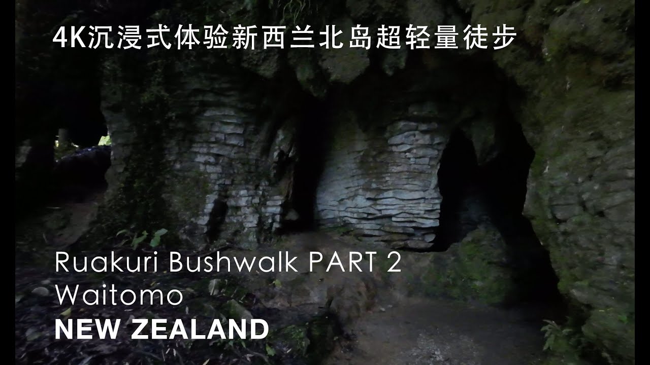 4K Walk in NZ EP02 part2- Ruakuri Bushwalk.4K超高清沉浸式徒步新西兰第2集下-北岛超轻量徒步 ...