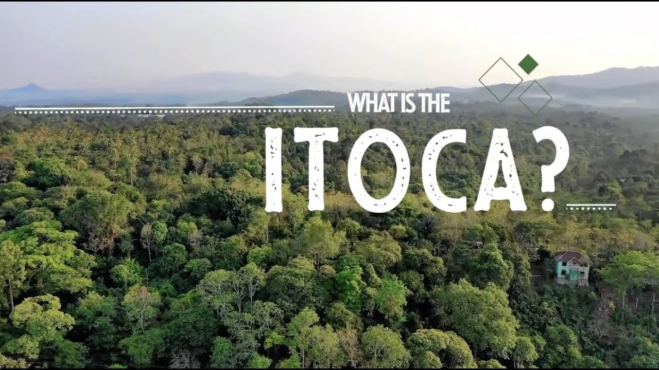 1. The beginning of a Journey | What is the ITOCA tool? (ENG) | SCIOA ...