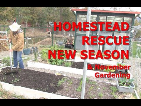 HOMESTEAD RESCUE NEW SEASON & November Gardening - YouTube
