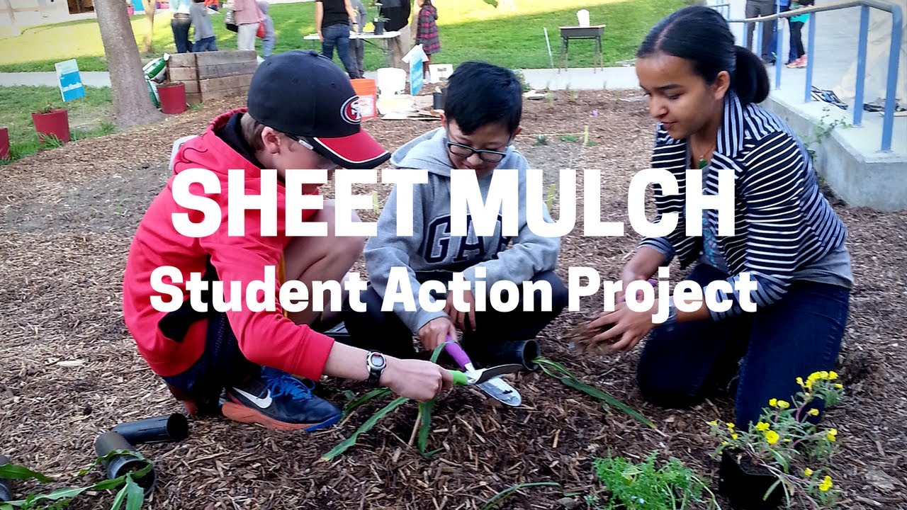 Sheet Mulch Student Action Project - YouTube