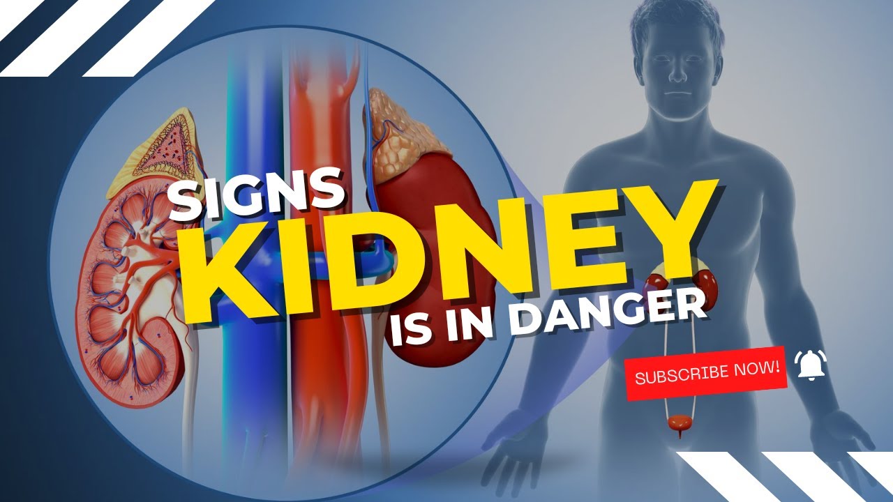 Alarming signs your kidney is in danger - YouTube
