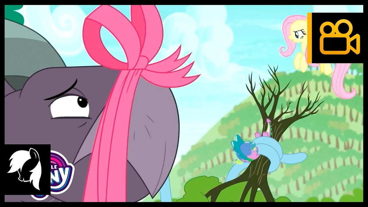 'Giant Turtle Problem!' 🐢 | My Little Pony || ★El Brony Mendivil★ - YouTube