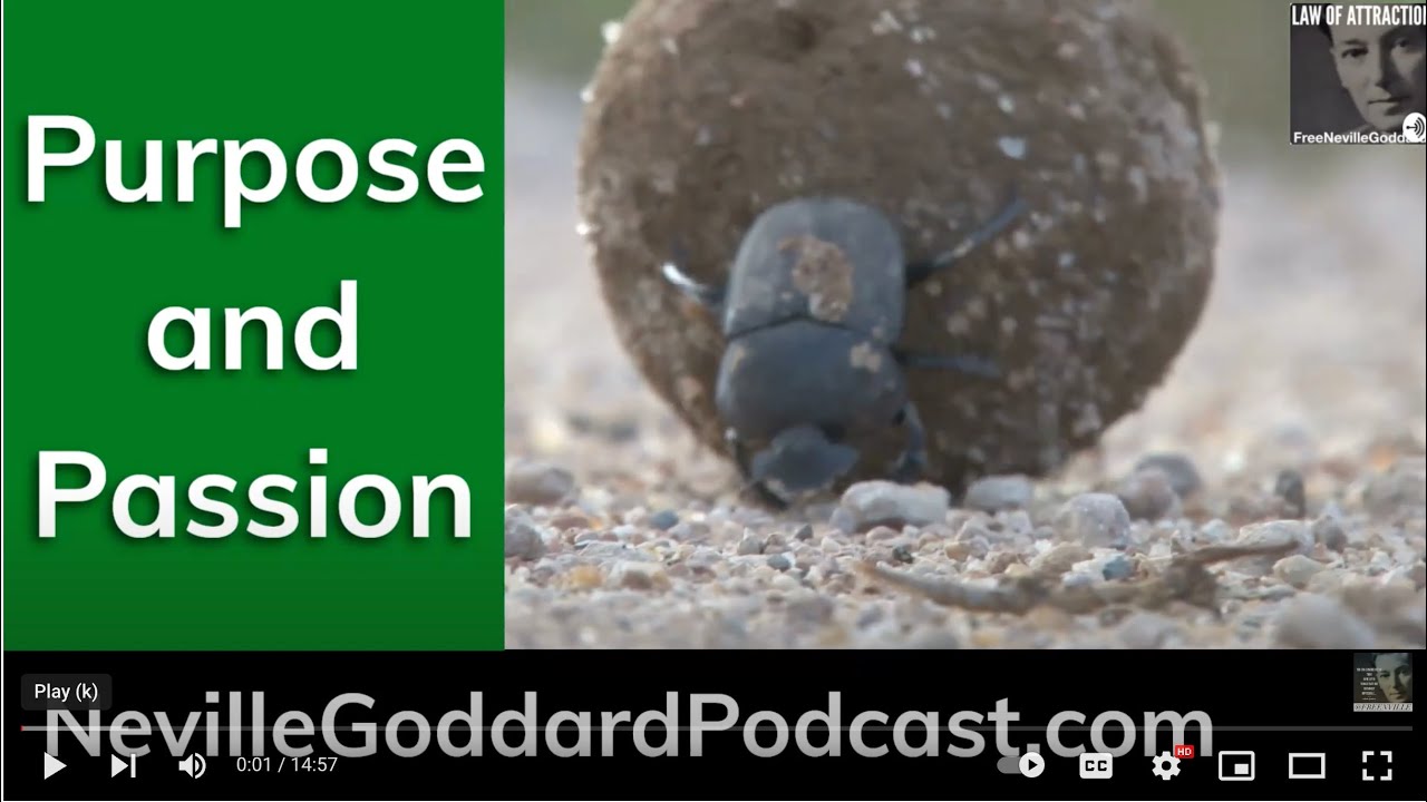 (Sound Fixed) - Purpose and Passion - Neville Goddard Podcast - YouTube