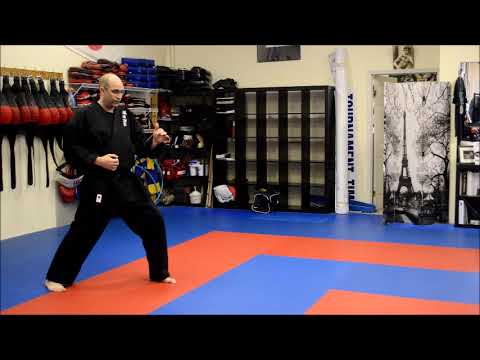 Front Punch to reverse punch, step through reverse punch - YouTube