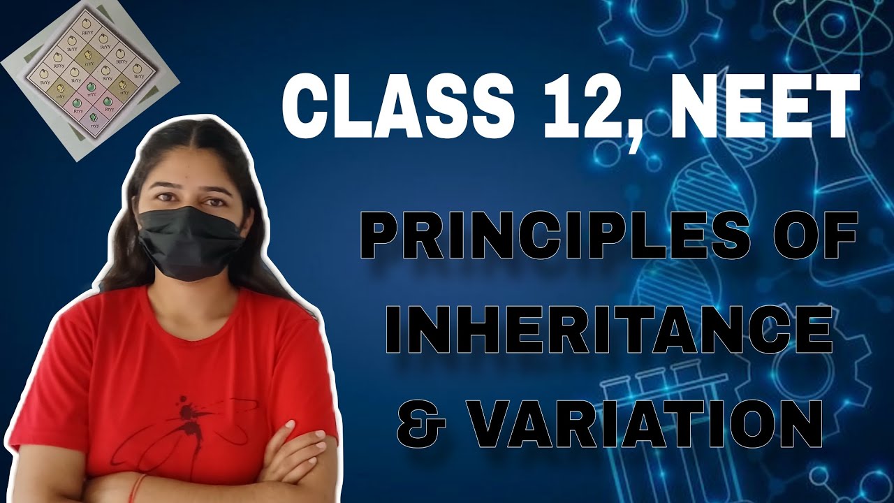 PRINCIPLES OF INHERITANCE AND VARIATIONS/GENETICS Part 1,Class 12th ...