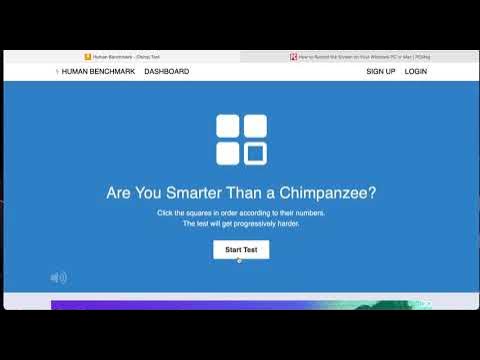 This Chimp Test is Hard (Human Benchmark) - YouTube