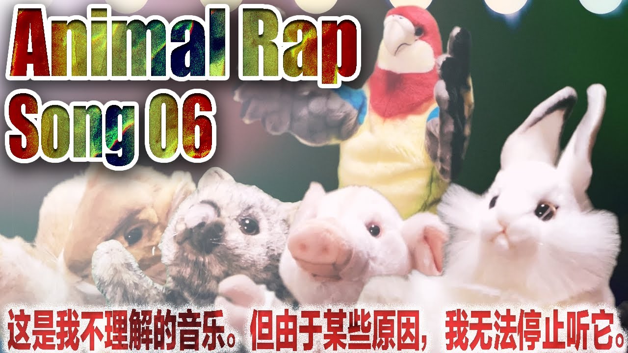 Animal Rap Song06 中文版本 - YouTube