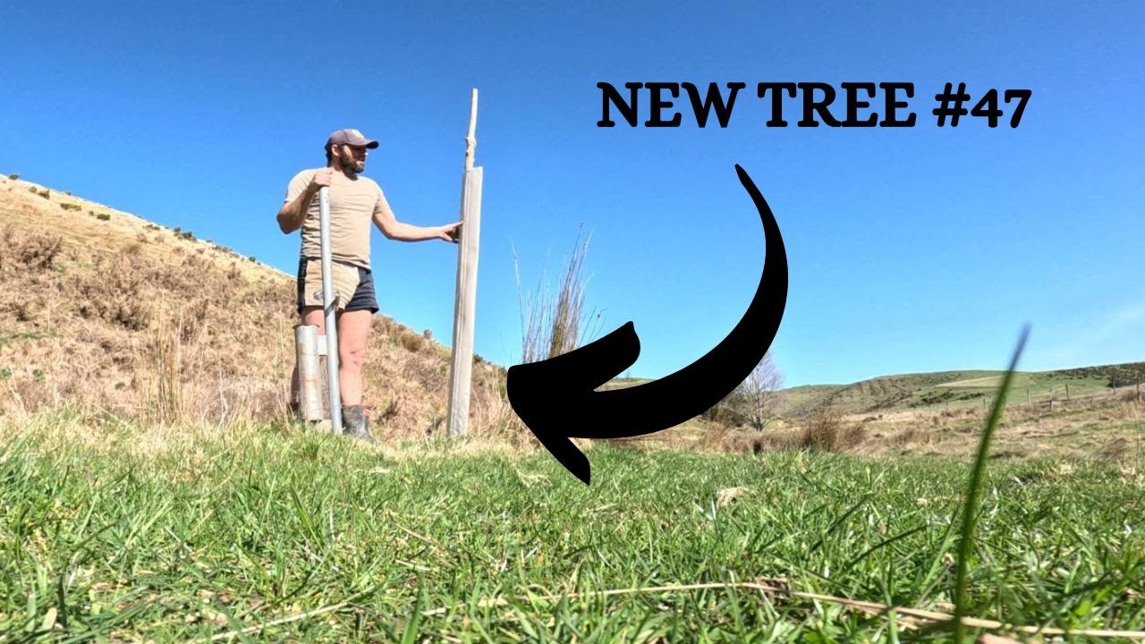 Saving the Planet One Tree At A Time - YouTube