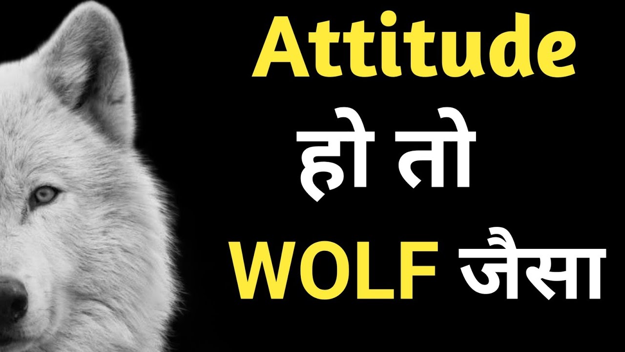 5-Life Lessons that we can learn from wolf (Wolf Mindset)- Motivational ...