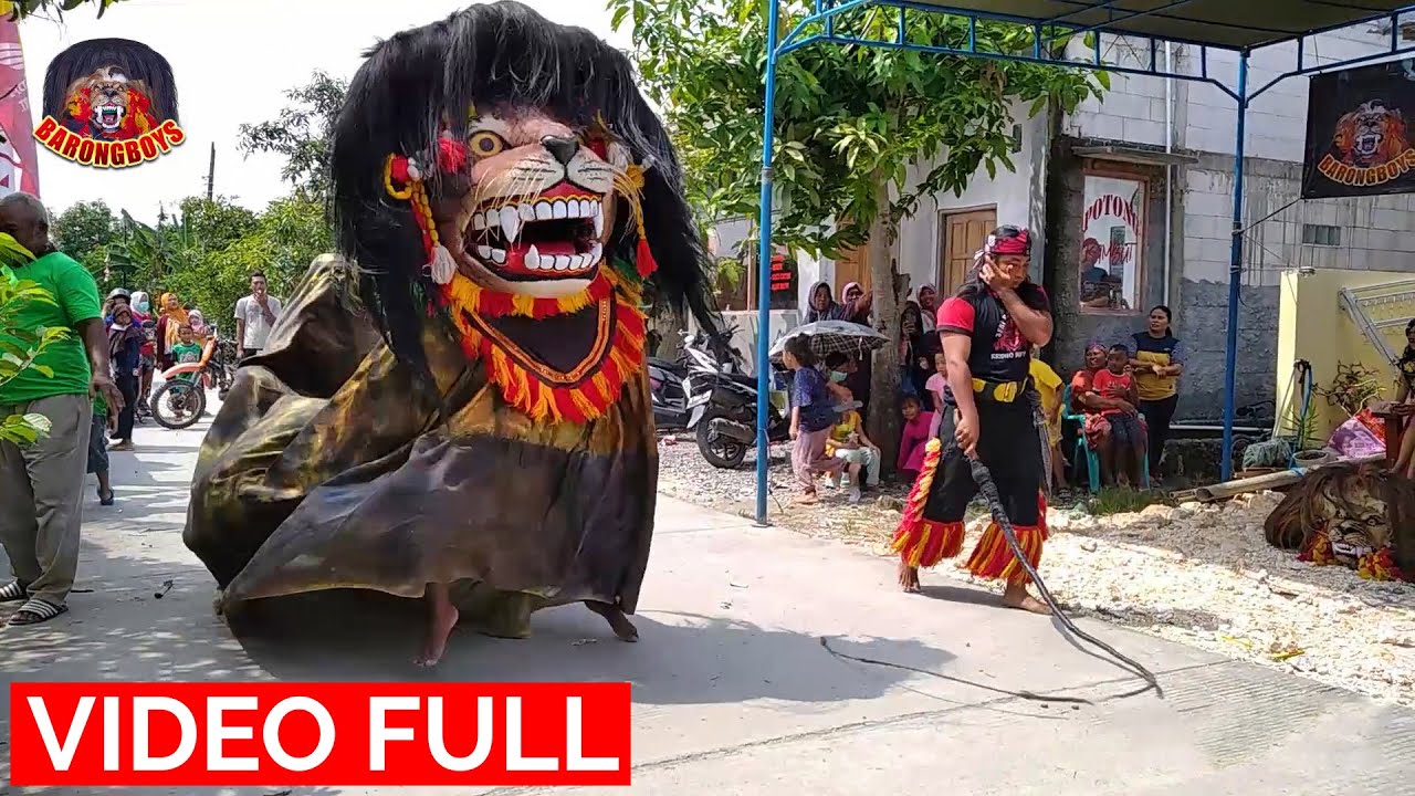 VIDEO FULL !! Atraksi Barongan galak banget || barongan krido budoyo ...