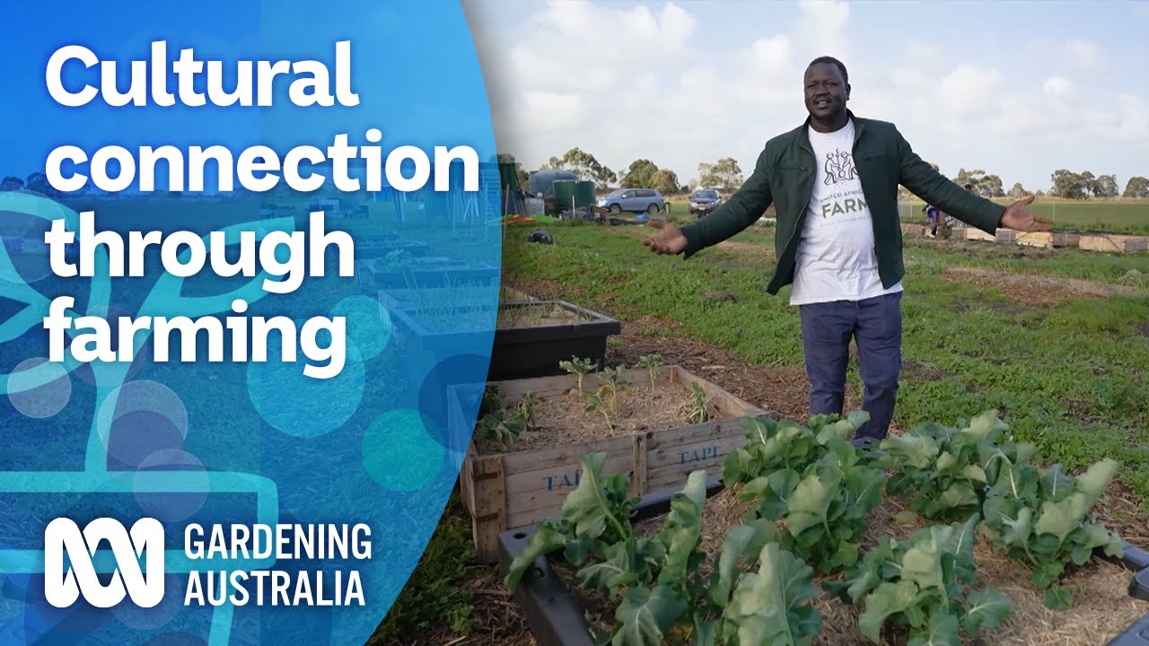 A community farm connecting cultures through food | My Garden Path ...