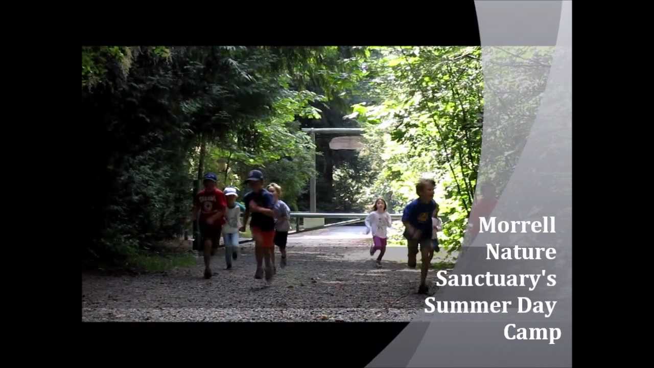 Morrell Nature Sanctuary Summer Camp - YouTube