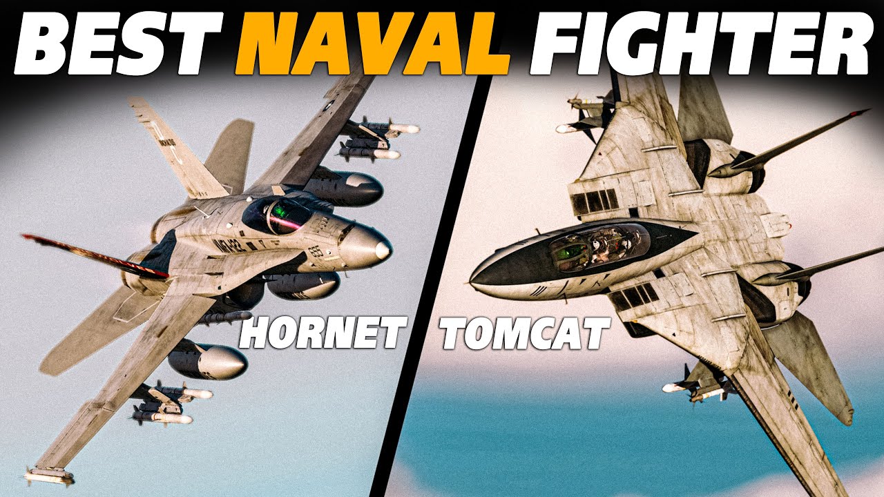 The Better Naval Fighter | F/A-18C Hornet Vs F-14B Tomcat | Digital ...