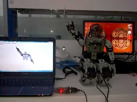 Bioloid Premium- SimMechanics Matlab - YouTube