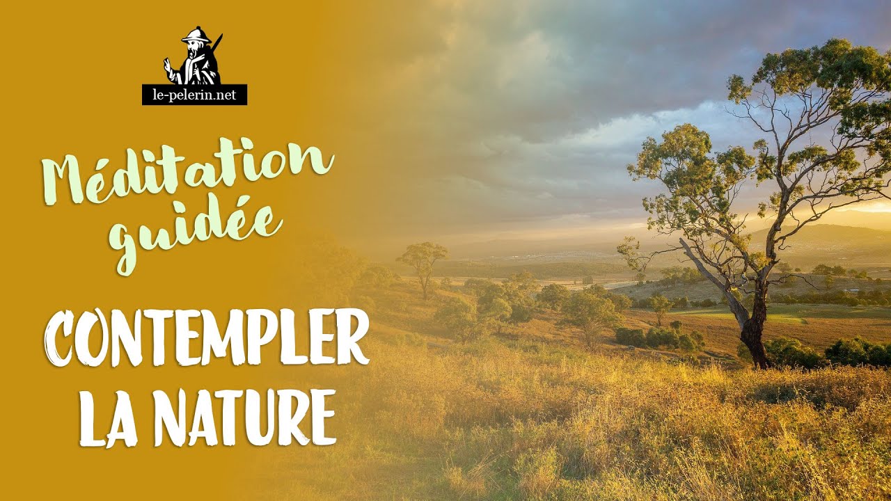 MÉDITATION GUIDÉE 🌳 Contempler la nature - YouTube