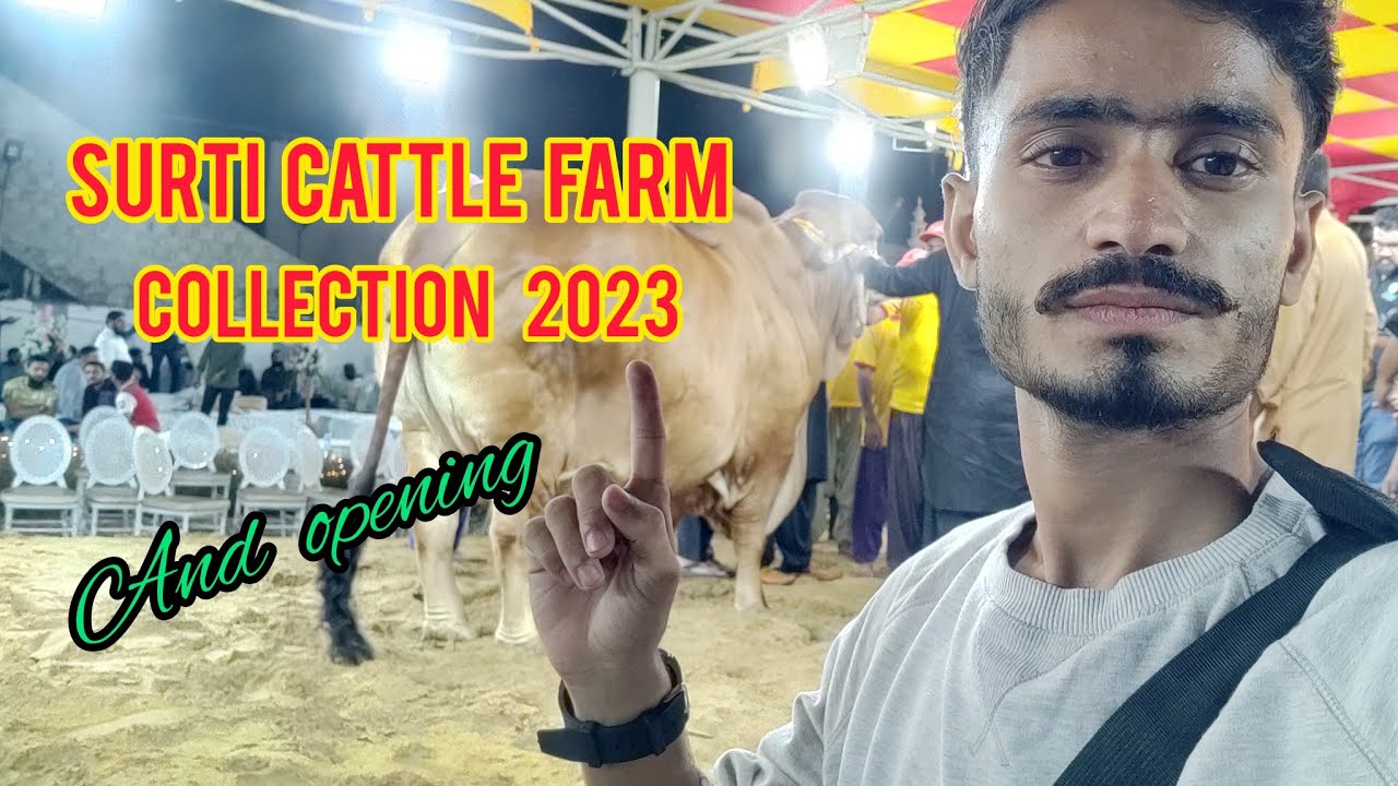 Surti Cattle Farm Collection 2023 ? - YouTube