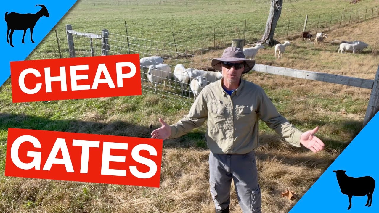 Cheap Goat and Sheep Gate - YouTube