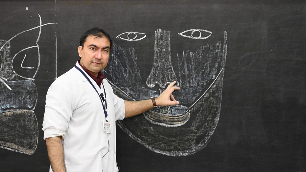 Development of Face Part 4 - YouTube