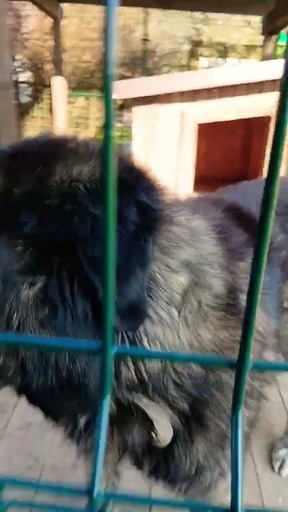 2025 m. kovo 21 d. - YouTube