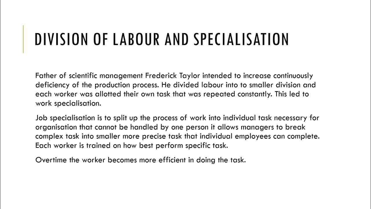 DIVISION OF LABOUR AND SPECIALIZATION - YouTube