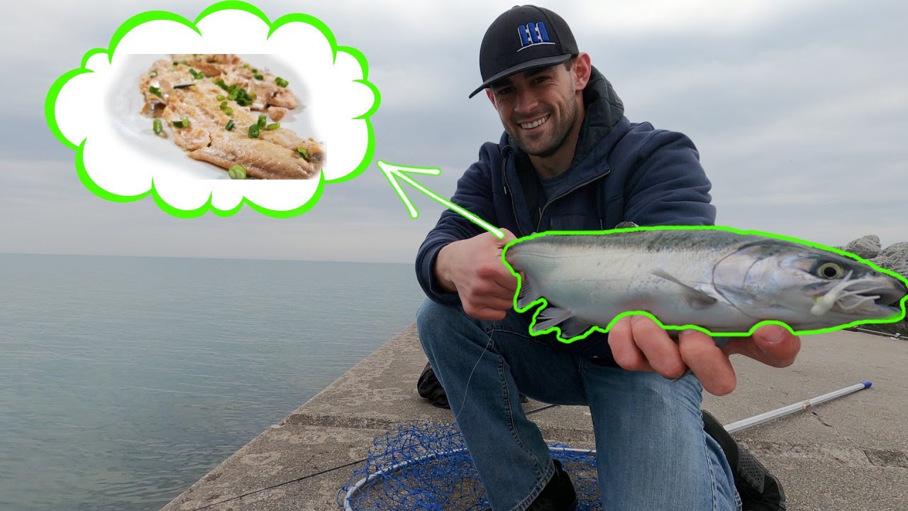 Catch Clean Cook | EASY RECIPE | Lake Michigan Coho from shore - YouTube