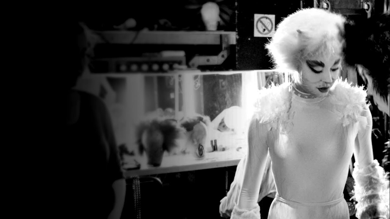 Victoria The White Cat - Backstage Vlog (London Palladium) - YouTube