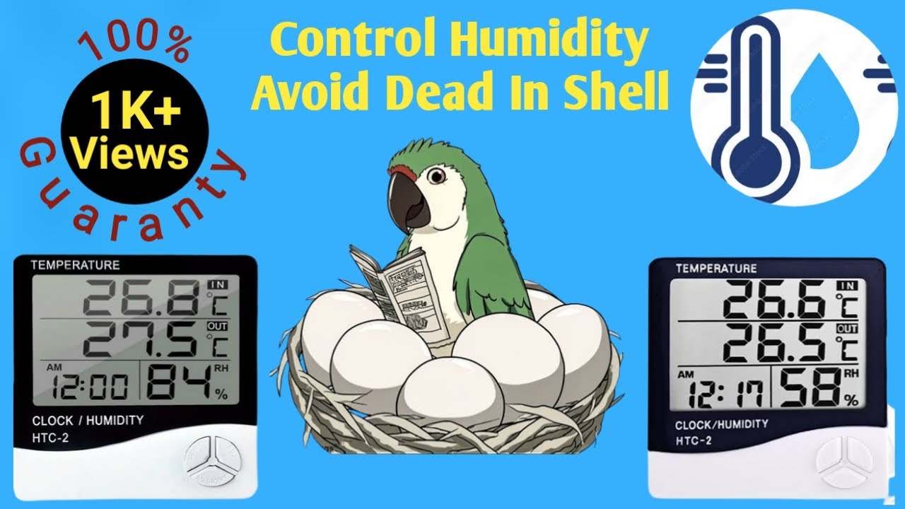 How to control humidity | Dehumidifier | Tips to control temperature ...
