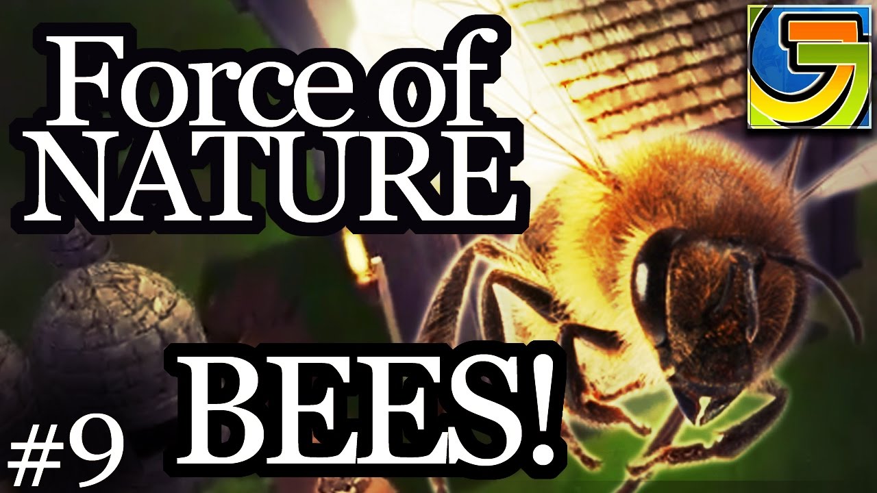 Force of nature. BEES and a lot of base work! ep9 - YouTube