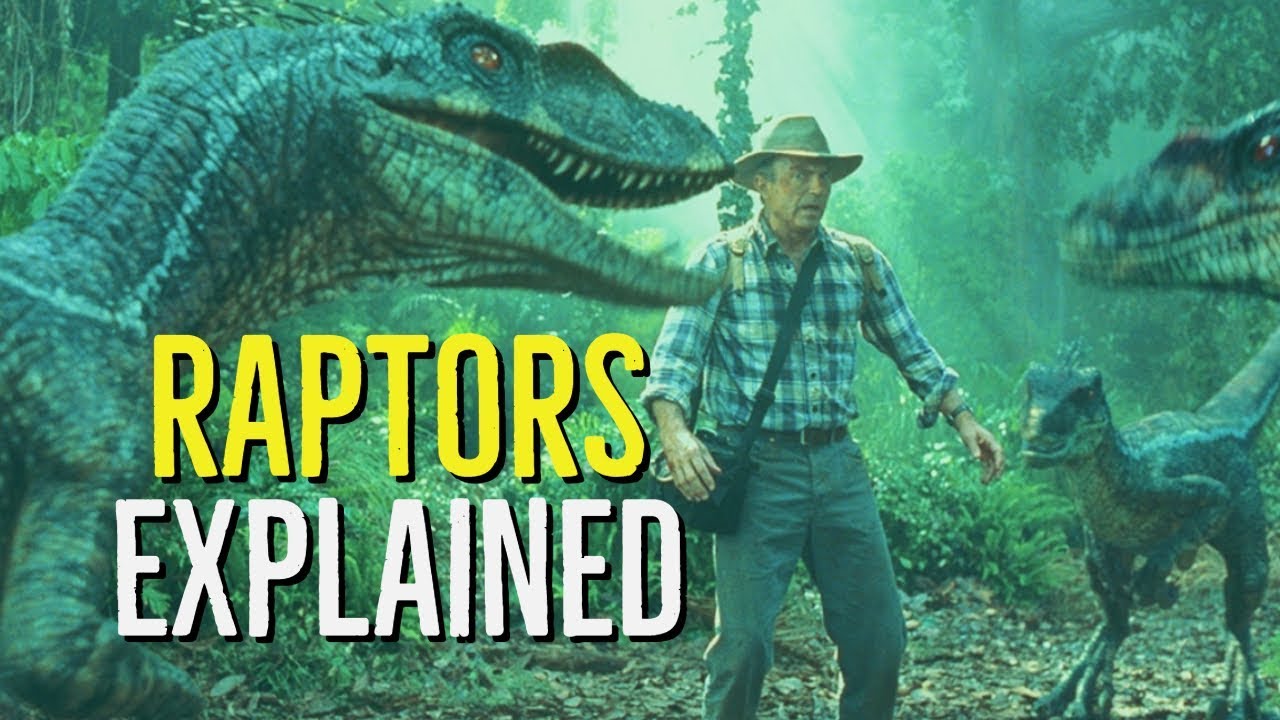 RAPTORS (Jurassic Park + World) EXPLAINED - YouTube