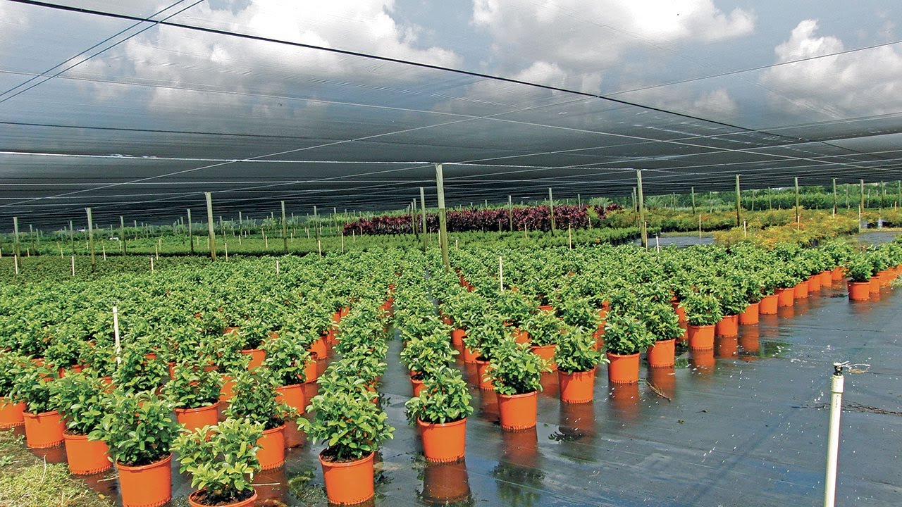 Senninger® Sprinklers for Solid Set & Nursery Irrigation - YouTube
