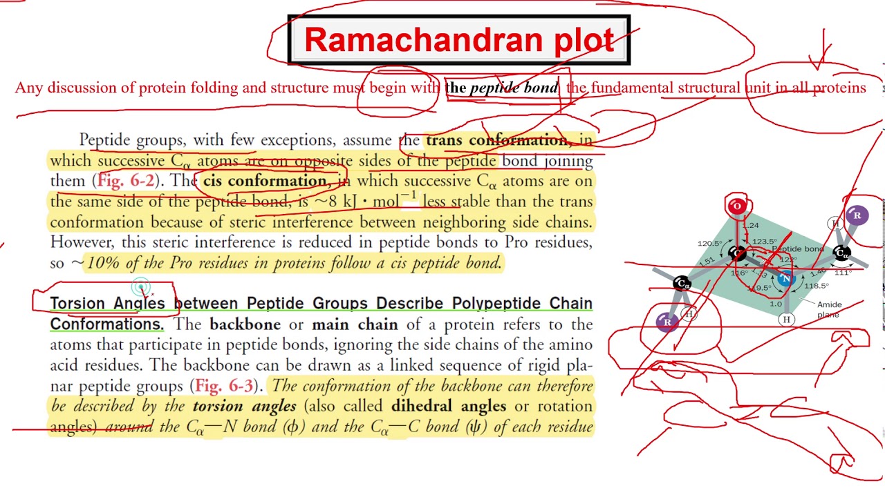 Ramachandran Plot Simplified Lecture For You PART 1 YouTube Ramachandran Plot Simplified Lecture For You PART 1 YouTube