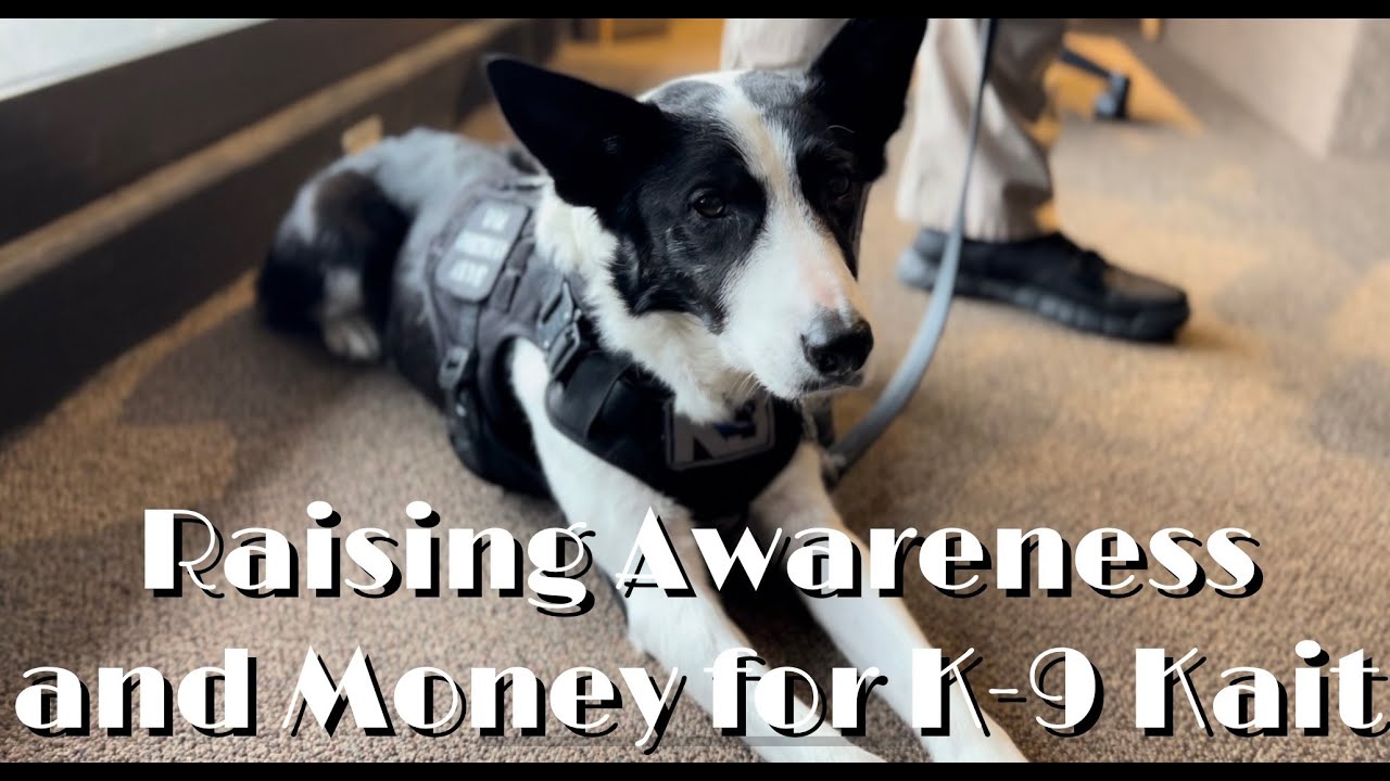 News Radio 560 KPQ's Dave Bernstein Gears Up to Raise Money for K-9 ...