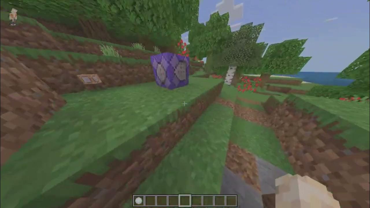 crazy minecraft command - YouTube