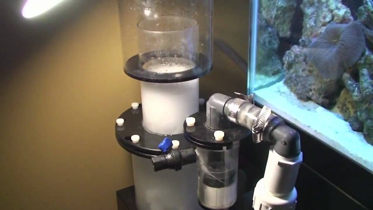 MR2 Protein Skimmer Tour - Part 2 - YouTube