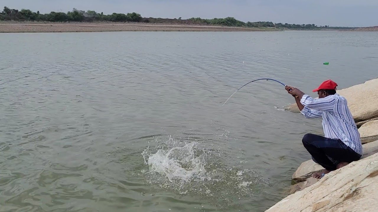 unique Fishing 🎣 Different Fishes to Fisher Man Catching Big BAAM Fish ...