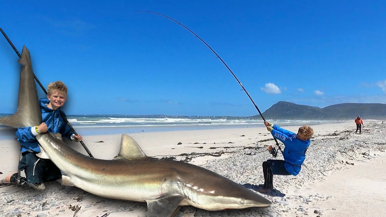 Kid catch and release massive Shark from the beach! 11 Year old did a ...
