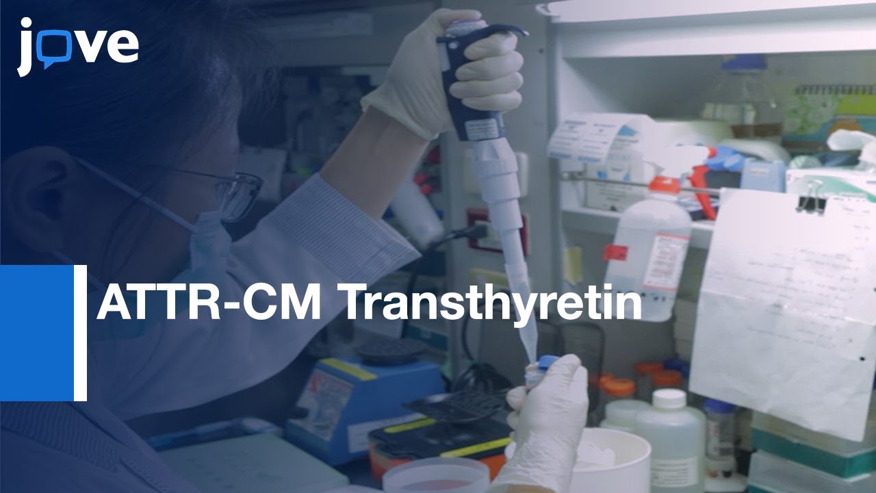 ATTR-CM Transthyretin Amyloidosis: Genetic Analysis | Protocol Preview ...