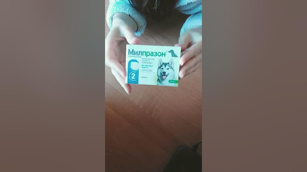 Глистогонка для собак Милпразон - YouTube