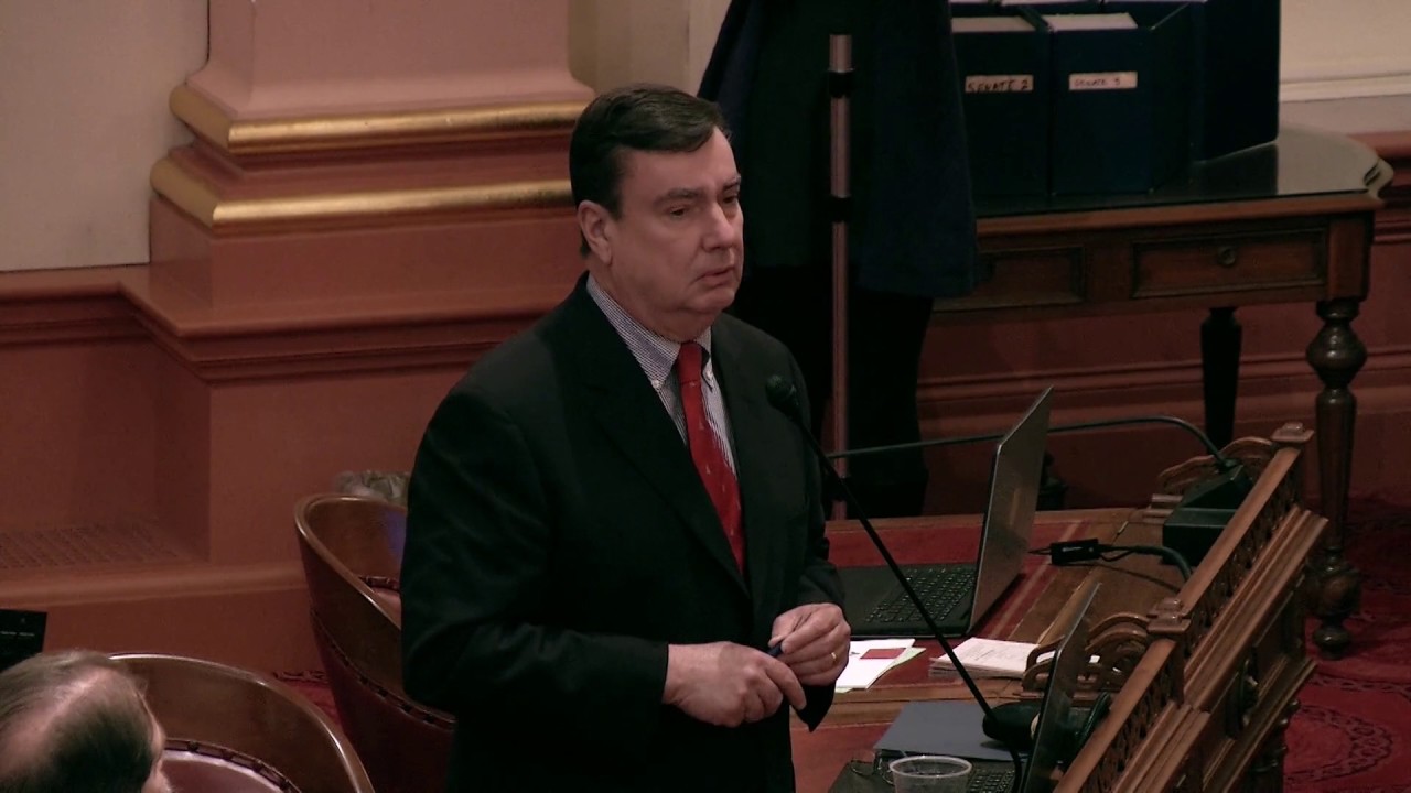 Senator Anderson Asks Questions on the Removal of Senator Nguyen - YouTube