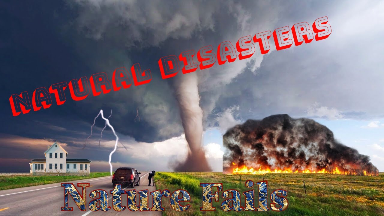 The World can be Dangerous!! | The Best Nature Fails Caught on Camera ...