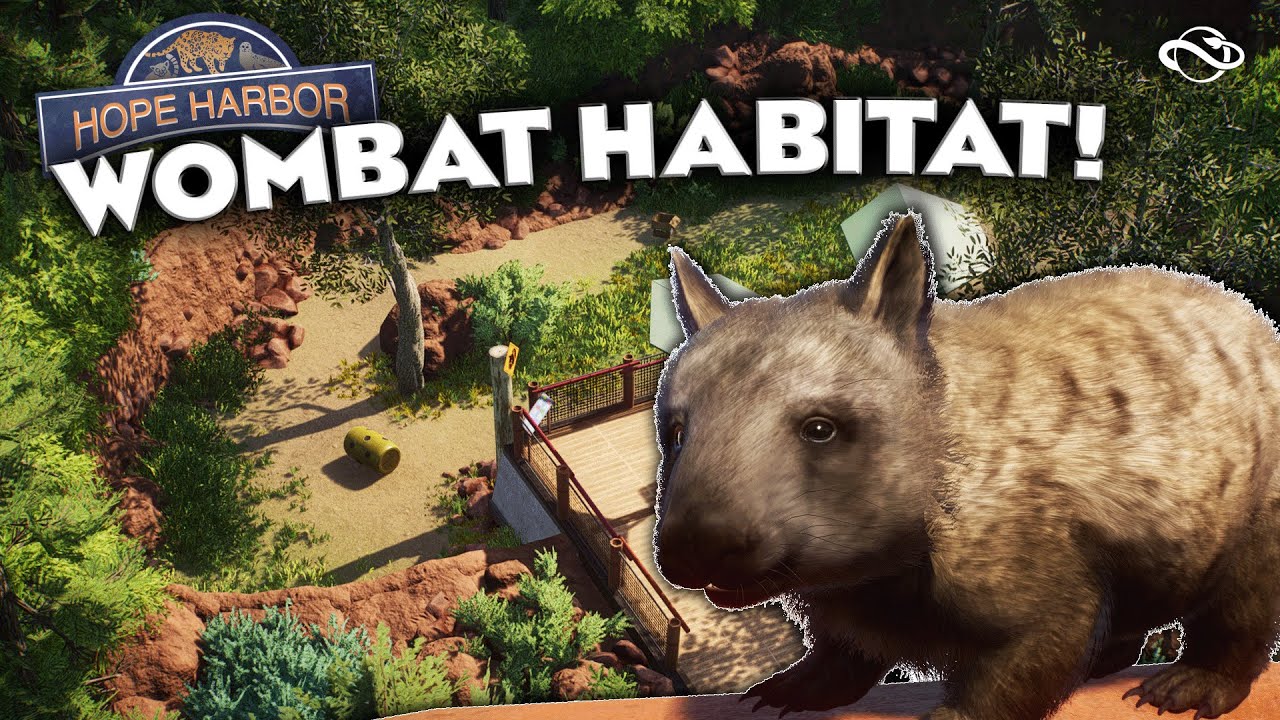🌈 Southern Hairy-Nosed Wombat Speedbuild | Hope Harbor Zoo - YouTube